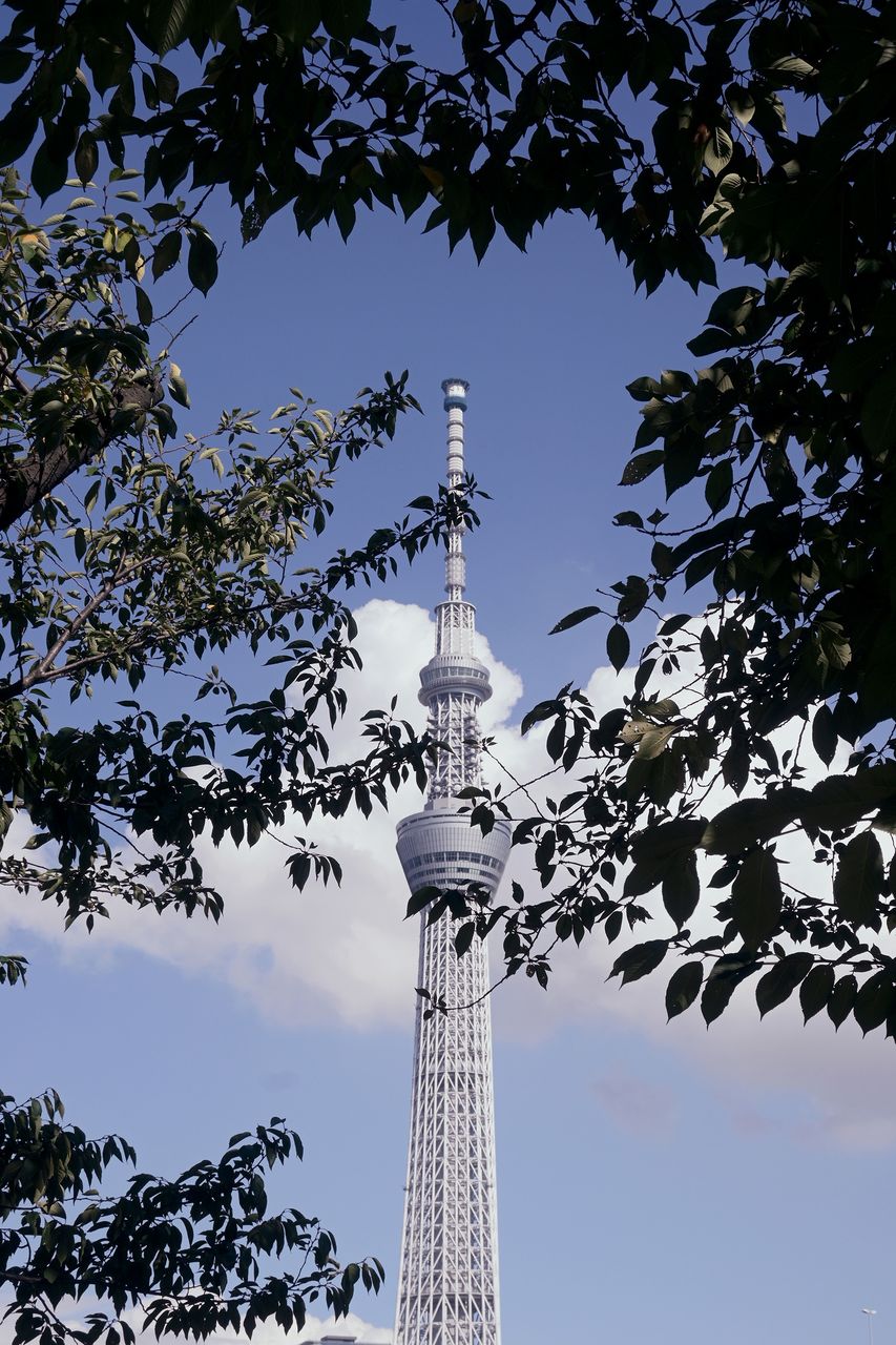 vlogをよりお手軽に！スマホよりも綺麗に写すZ30レビュー！ | Vook(ヴック)