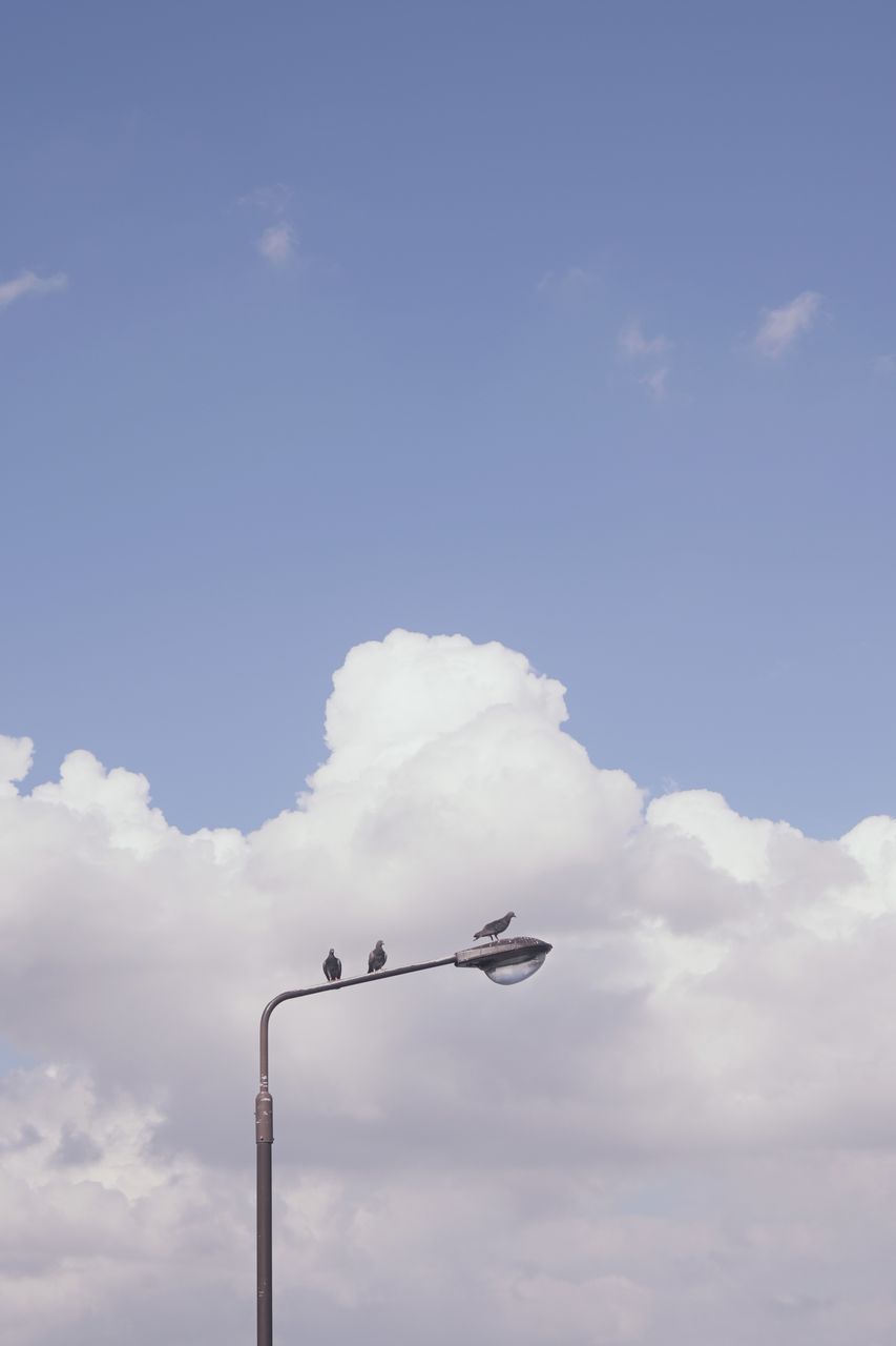 vlogをよりお手軽に！スマホよりも綺麗に写すZ30レビュー！ | Vook(ヴック)