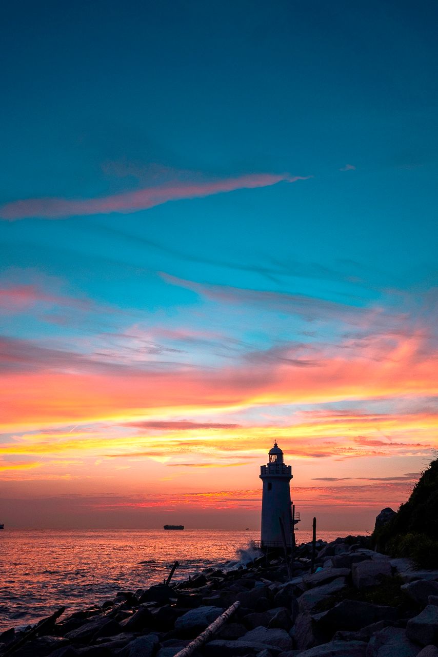 NIKON Z30を使って | Vook(ヴック)