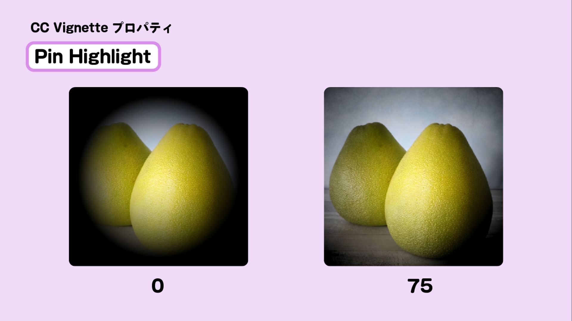 CC Vignetteとは - スタイライズ | Vook(ヴック)