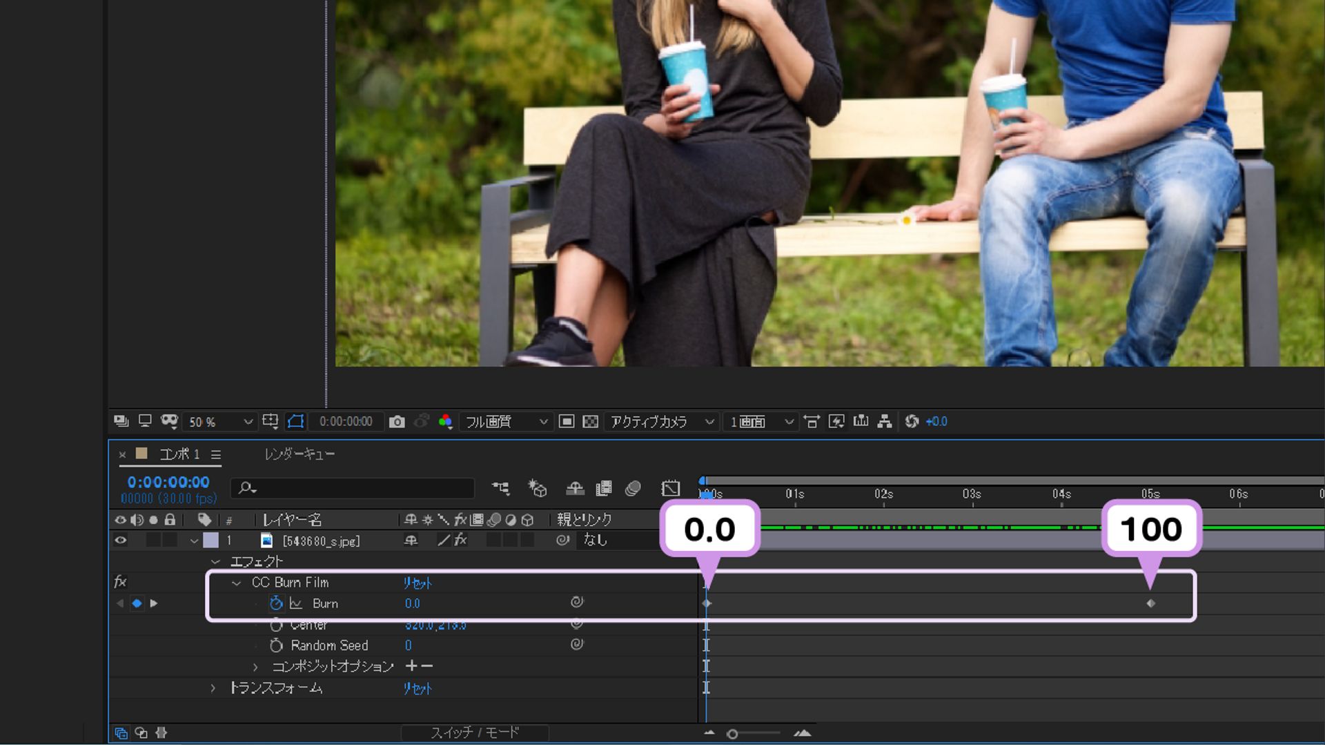 CC Burn Filmとは - スタイライズ | Vook(ヴック)