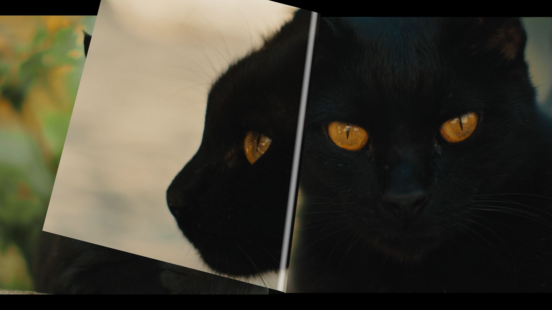 CC Page Turnとは - ディストーション | Vook(ヴック)