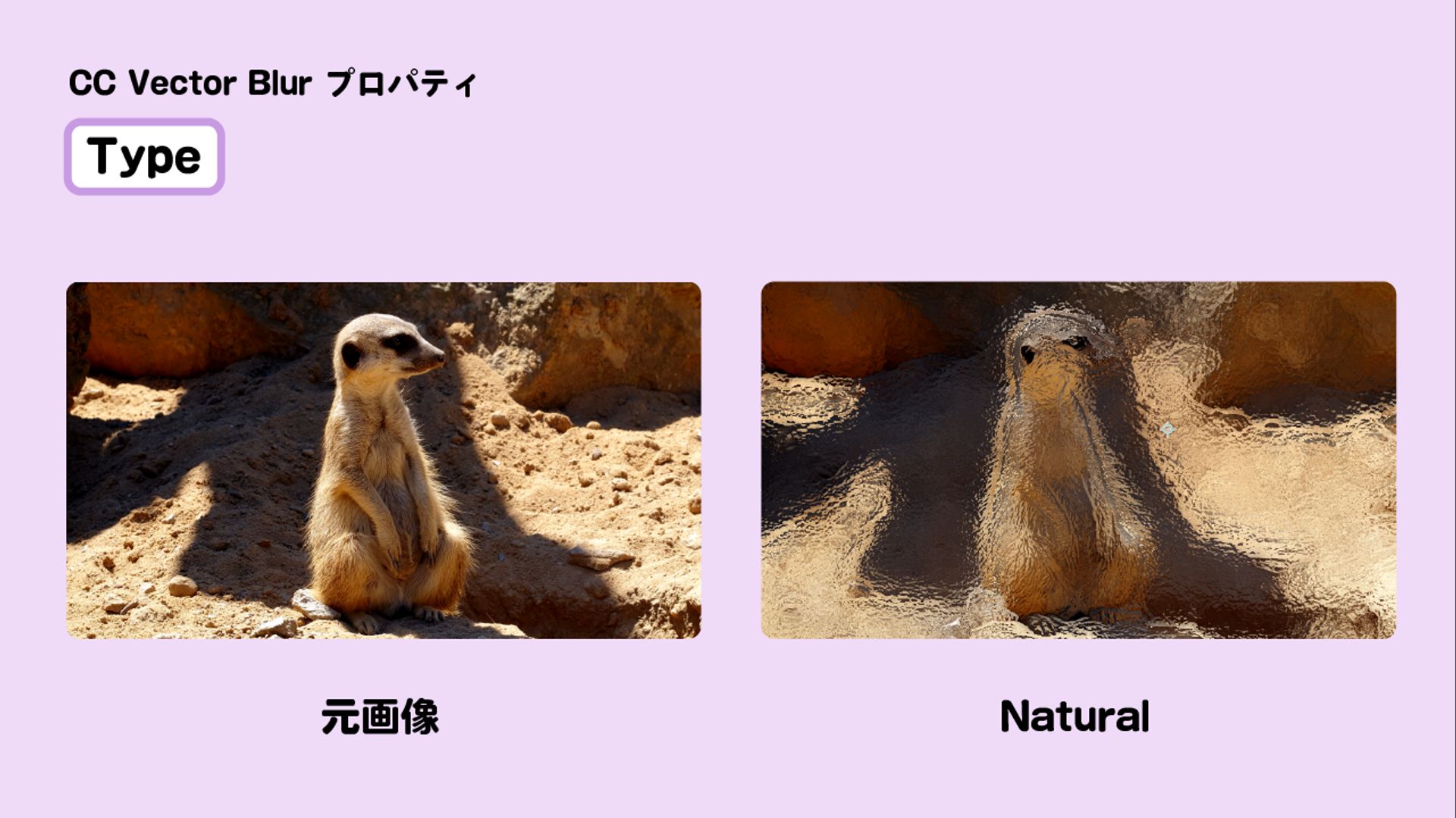 CC Vector Blurとは - ブラー＆シャープ | Vook(ヴック)