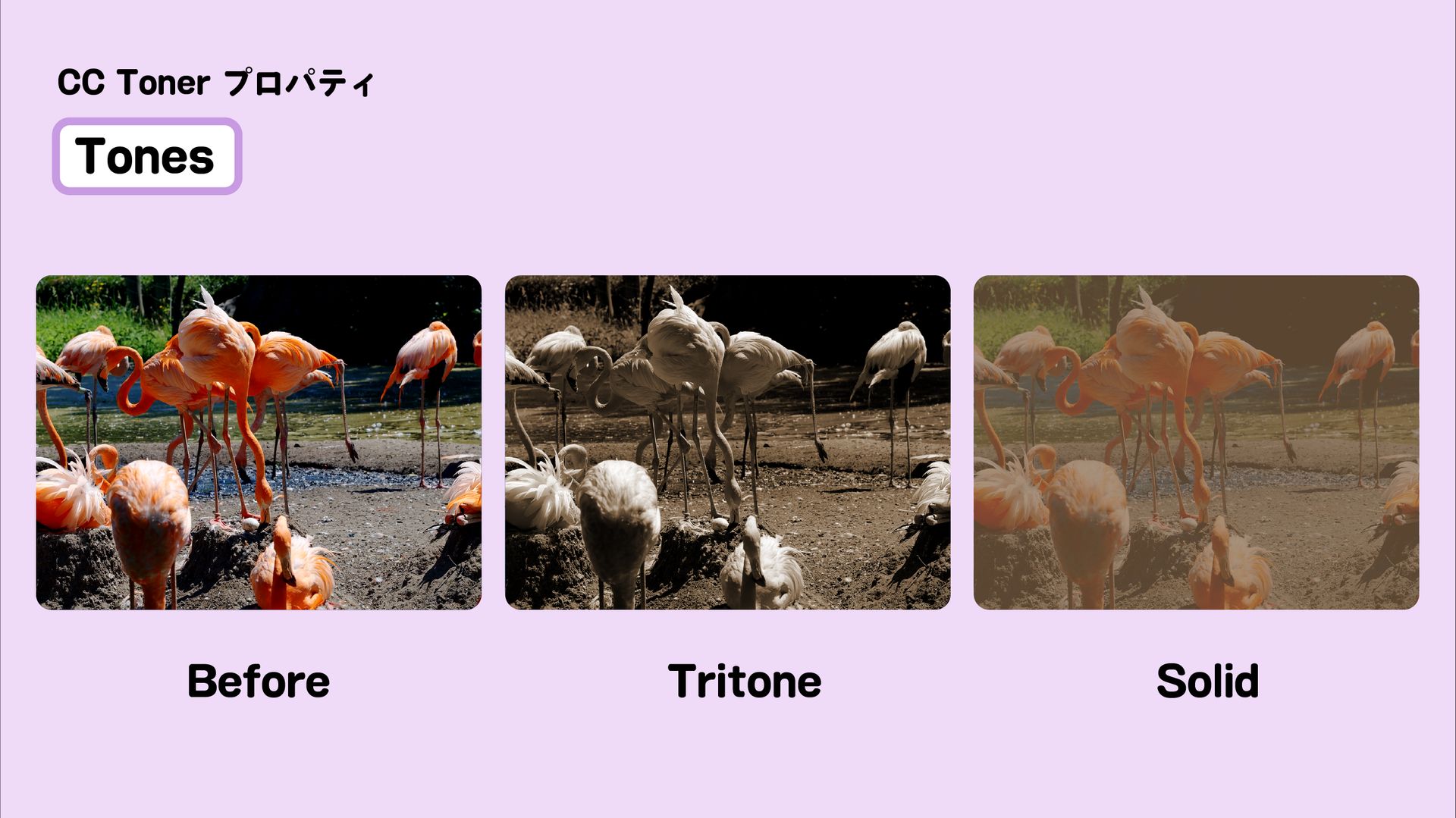 CC Tonerとは - カラー補正 | Vook(ヴック)
