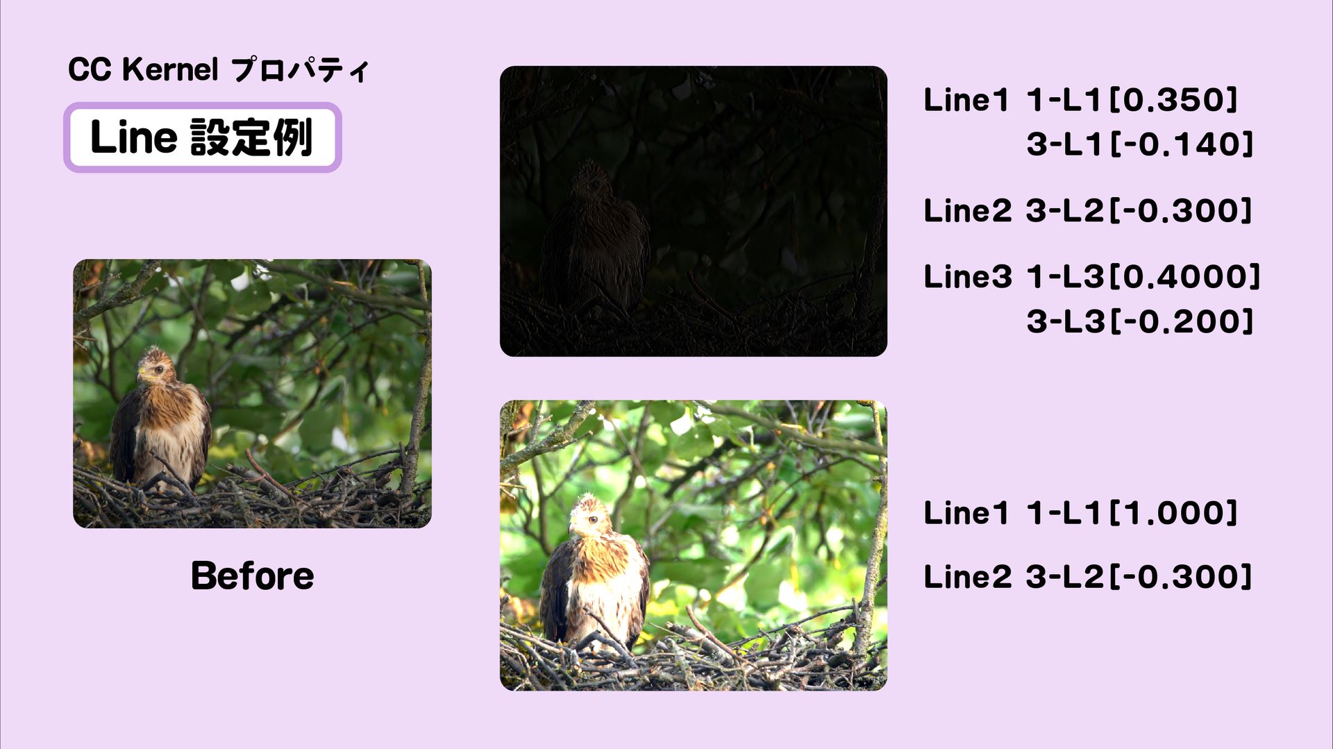 CC Kemelとは - カラー補正 | Vook(ヴック)