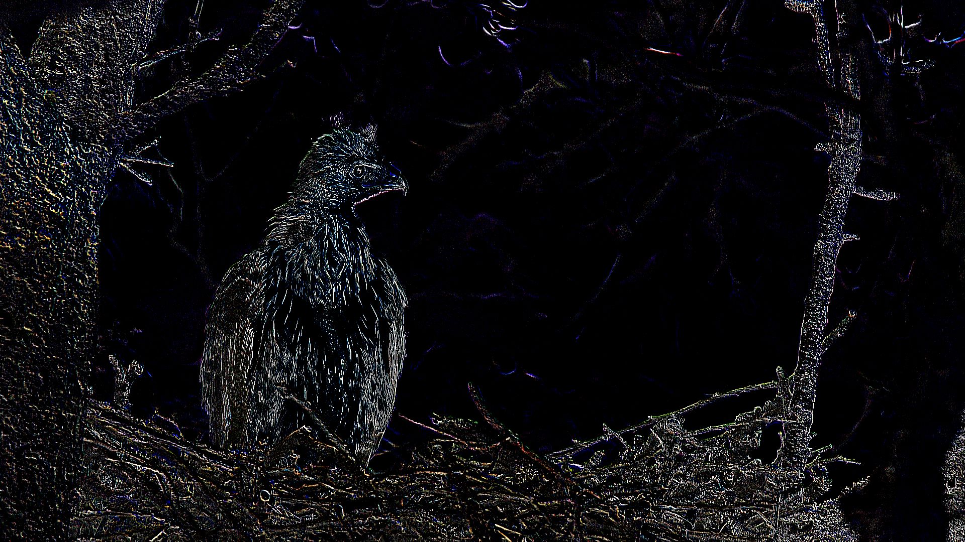 CC Kemelとは - カラー補正 | Vook(ヴック)