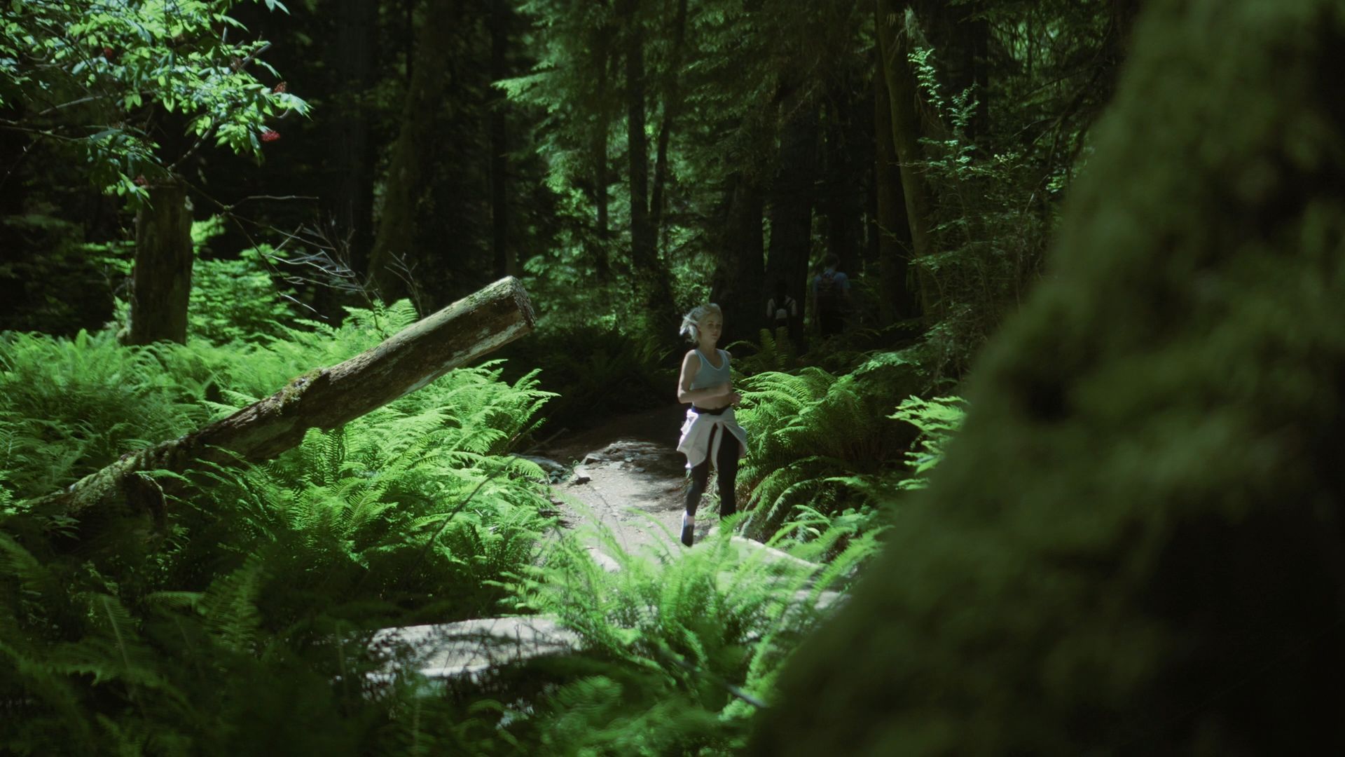 CC Color Neutralizerとは - カラー補正 | Vook(ヴック)