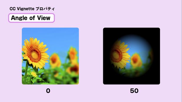 CC Vignetteとは - スタイライズ | Vook(ヴック)