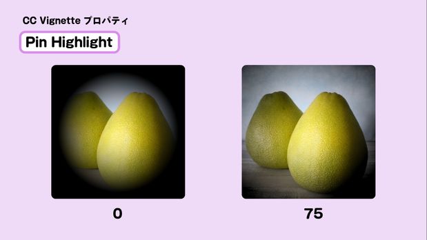 CC Vignetteとは - スタイライズ | Vook(ヴック)