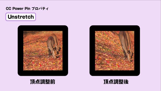 CC Power Pinとは - ディストーション | Vook(ヴック)