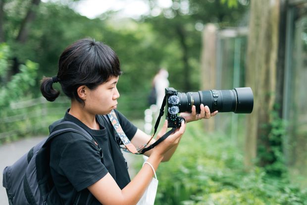 【Nikon Z30】写真メインでZ30を使ってみた！ | Vook(ヴック)